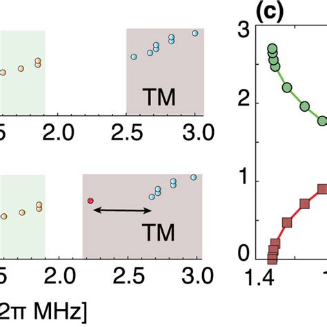 The 20 Different Degenerate Classical Ground State Configurations Which
