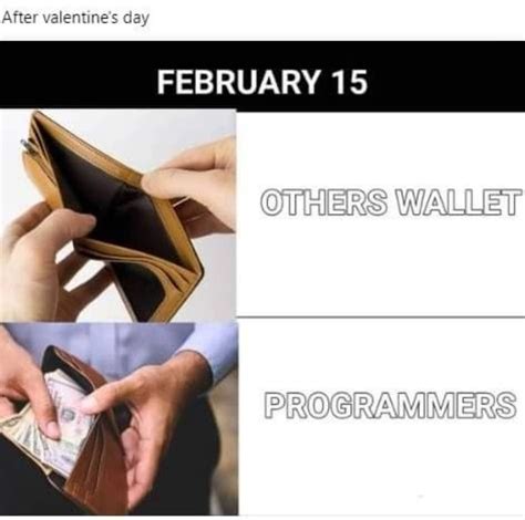 Programmers After Valentine