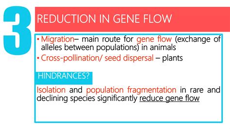 Genetics Chapter 24conservation Genetics Pptx