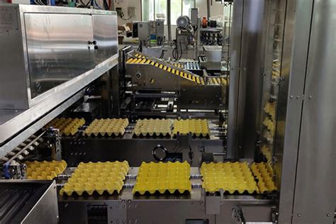 Automatic Egg Packing Machine Egg Processing Machines Supplier