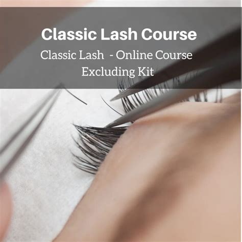 Online Courses Lash Extensions Lash Brow Institute