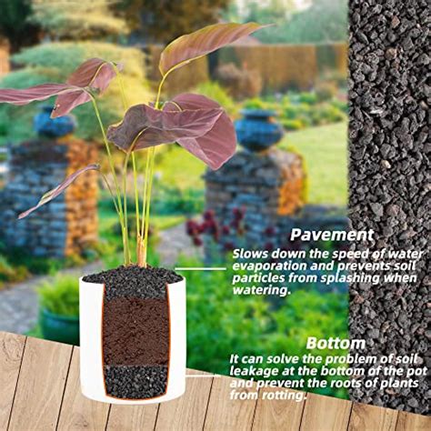 Black Lava Rocks For Plant Decoration House Plants Expert
