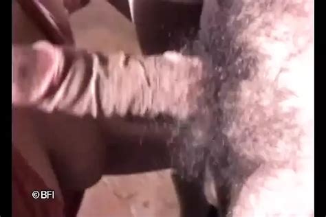 Free Snake Porn Videos Xhamster