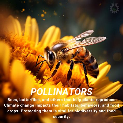 Pollinators Science4data