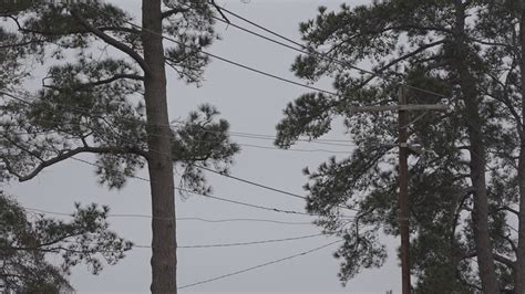 Crayton Middle School Forest Acres Partner To Bury Power Lines