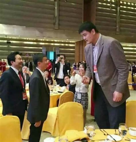 男星和姚明合影：徐铮最悲催，马云让姚明弯腰，郭敬明躺着也中枪？