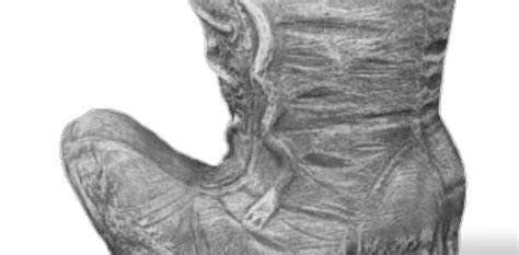 Boot Planter Large Landosol Plant Farm Nursery