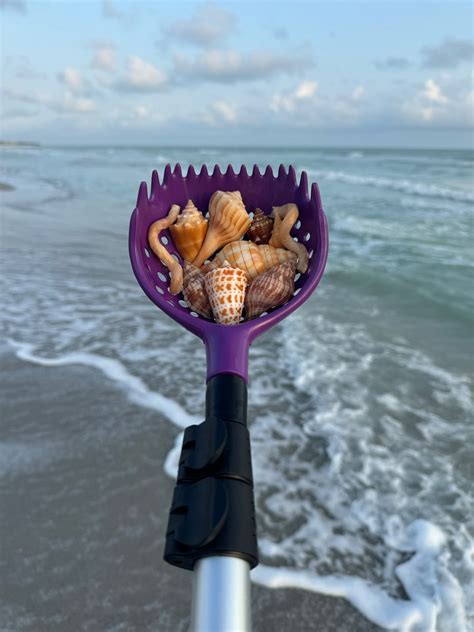 Shell Scoop Rock Hunt Scoop Shark Tooth Sifter Sand Scoop Rock