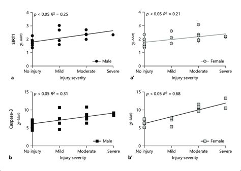 Correlations Of Il Hippocampal Sirt1 And Caspase 3 Mrna Expressions