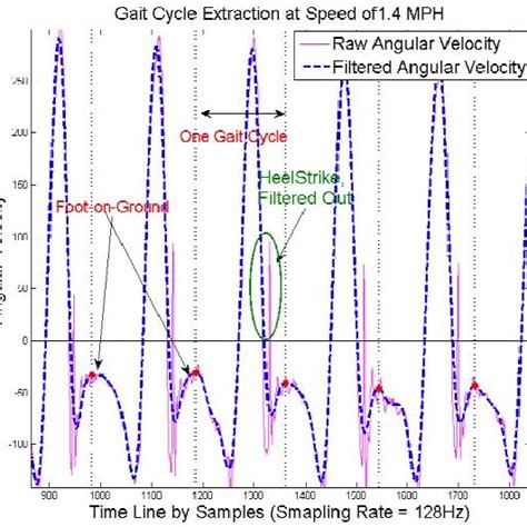gait cycle segmentation download scientific diagram
