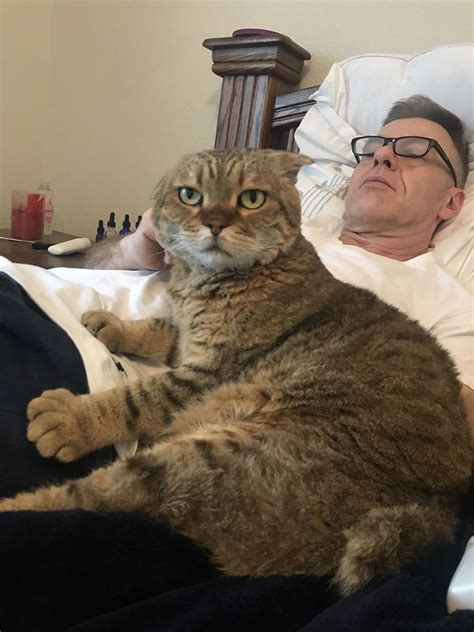 Pin Van Merrie Martine Dooley Op Teddy Bear Simba I Cant Find Anyone Like Him