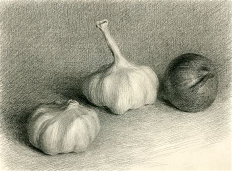 Рисунок карандашом фрукты 46 фото