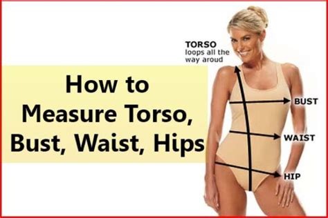 How To Measure Torso Bust Waist And Hips