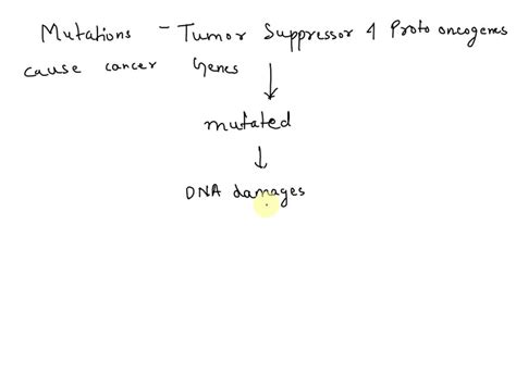 Solved Question 33 Mutations In Tumor Suppressor Genes And In Proto