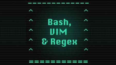 Introduction To Bash VIM Regex ScanLibs