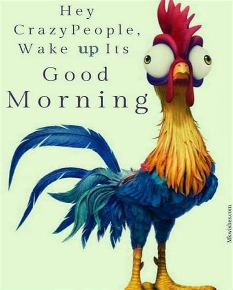 Goofy Good Morning Funny Goofy Good Morning Images Funny Morning
