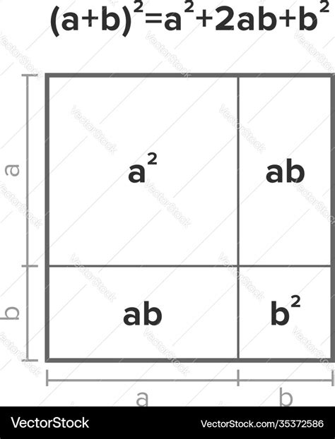 Graphical Visualization An Algebraic Binomial Vector Image