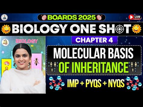 understanding the molecular basis of inheritance a comprehensive guide galaxy ai galaxy ai