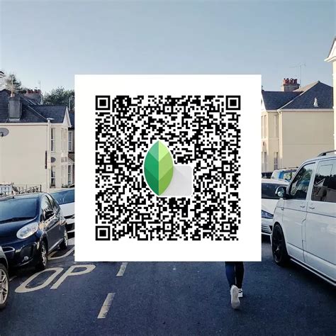 The 36 Best Snapseed Qr Codes Presets Artofit