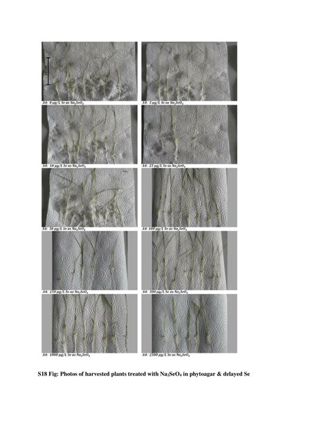 Pdf S18 Fig
