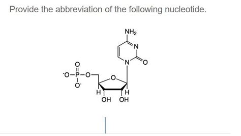 Solved Provide The Abbreviation Of The Following Nucleotide