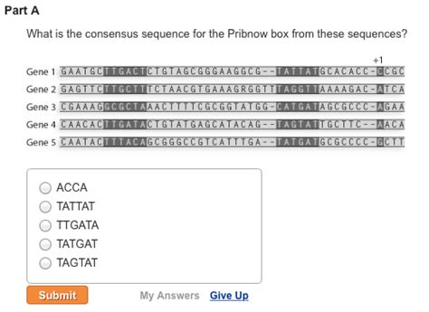 Solved Someone Please Help I Dont Understand What A
