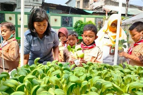 Urban Farming Solusi Bertani Di Tengah Lahan Sempit Jakarta Kumparan