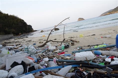 海岸のゴミについて考えよう 海と日本project In しまね