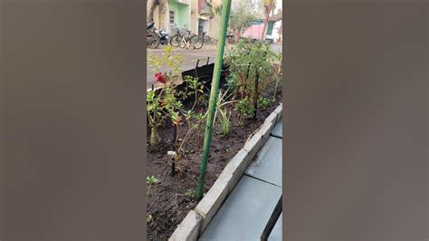 Karam Pradhan Youtube