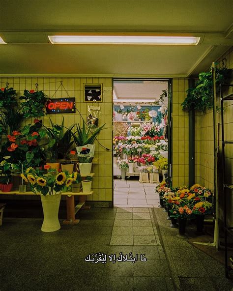 ‎عَباس‎ ‎العبارات بقناة التلي الرابط بالبايو♥️ عبارات قصيره اكسبلور‎ Instagram