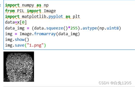 Npznpy Csdn