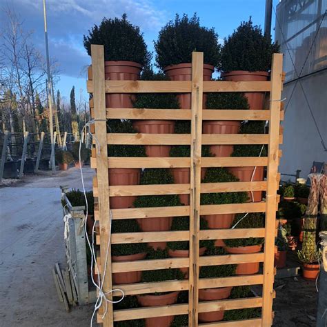 Quality Services The Plantship
