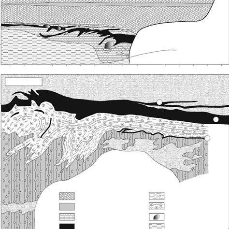 Troels Smith Classifi Cation Codes Troels Smith 1955 For The