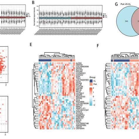 Identification Of Differentially Expressed Genes Degs A Box Plot Download Scientific