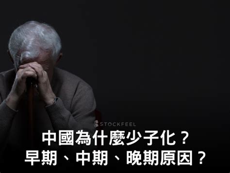 Cips｜cips 是什麼？和 Swift 差異？為什麼會受到關注？ Stockfeel 股感