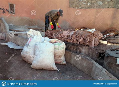 Worker Putting Branches Of Used Christmas Tree In The Receiver Of The
