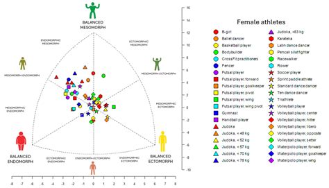 The Shape Of Success A Scoping Review Of Somatotype In Modern Elite