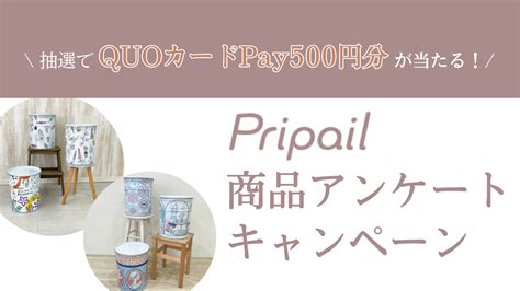 Quoカードpay500円分が当たる！pripail商品アンケートキャンペーン ペール缶のトップメーカー 株式会社ジャパンペール