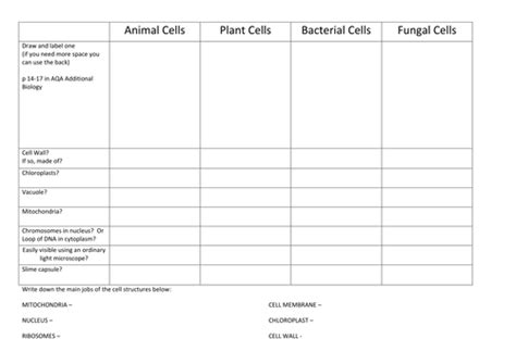 Cell Structure Comparison Table Teaching Resources