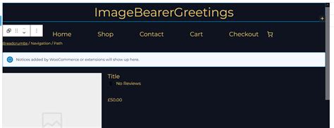 Remove Margin At The Top Of Single Produst Page WordPress Org