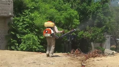 Mosquito Del Dengue Pone En Jaque A Guerrero En Punto Noticieros N