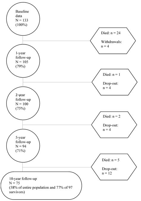Protein Synthesis Flow Chart Answer Key