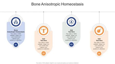 Bone Anisotropic Homeostasis Ppt Powerpoint Cpp PPT Example