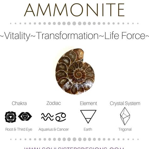 Unveiling The Spiritual Meaning Of Ammonite A Journey Of