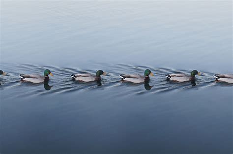 How To Display Product Attributes And Acf Product Specs In An Accordion Tab As Tables Using