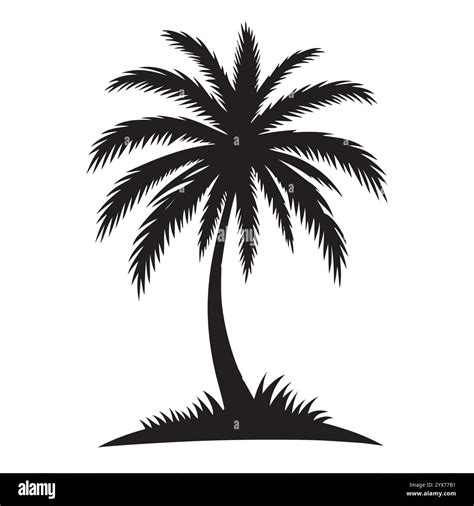 Minimalist Coconut Tree Silhouette Design Stock Vector Image And Art Alamy