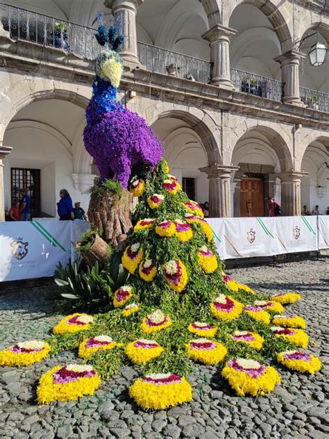 Festival De Las Flores Calles Y Balcones De Antigua Guatemala Se