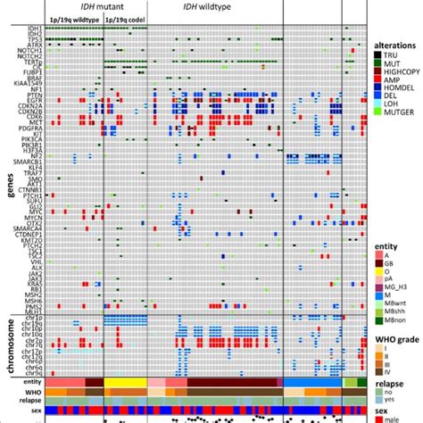 Overview Of The Dna Panel Ngs Results Molecular Alterations Per Case