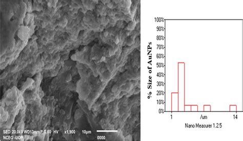 Sem Analysis Of Hh Based Aunps Download Scientific Diagram