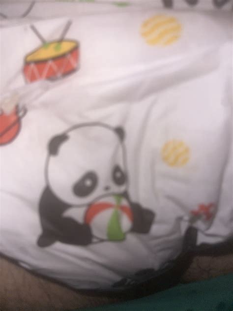 Cute Panda Diapers Diapered Experiences Omorashi
